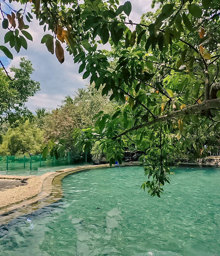 Banyan Spring | フィリピン旅行専門店