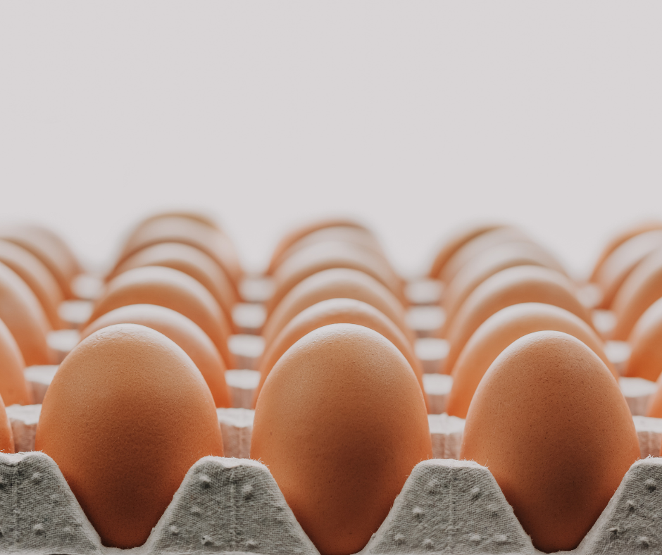 PRESYO NG ITLOG SA ILANG LUGAR SA JAPAN HALOS DOBLE NA | フィリピン旅行専門店