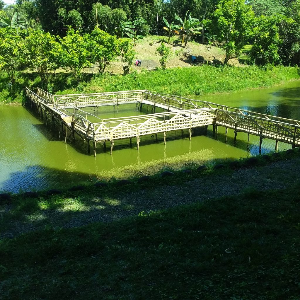 VILLA ZENAIDA FARM AND RESORT-LUCBAN | フィリピン旅行専門店